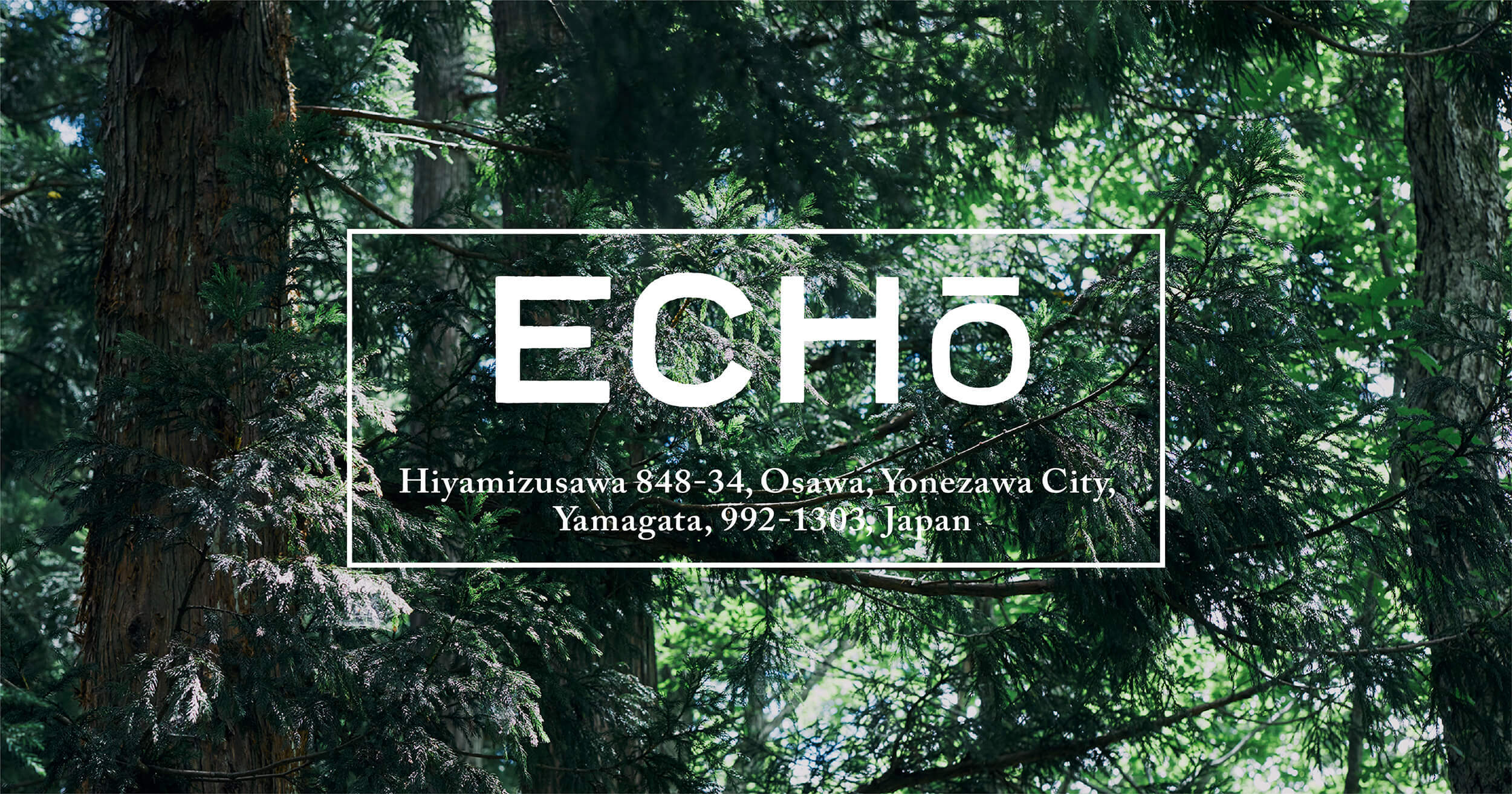 ECHO - 公式ティザーサイト